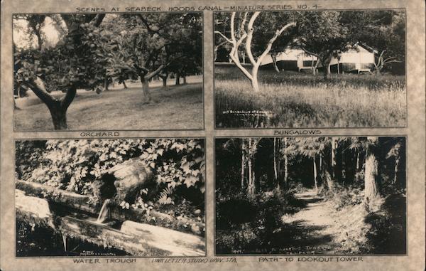 Scenes at Seabeck Conference Center, Hoods Canal Washington Postcard