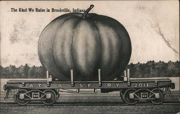 The Kind We Raise In Brooksville, Indiana Exaggeration Postcard