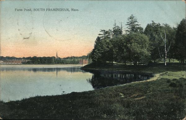 Farm Pond Framingham, MA Postcard