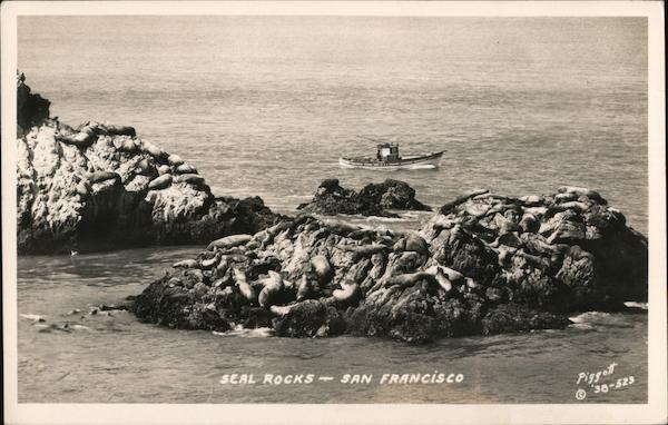 Seal Rocks San Francisco, CA P Postcard