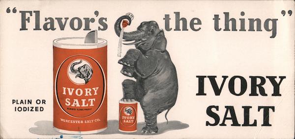 Ivory Salt Elephant - Worcester Salt Company Warsaw, NY Blotter