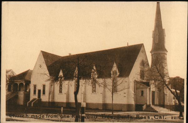 Church Made from one Redwood Tree Santa Rosa, CA Postcard