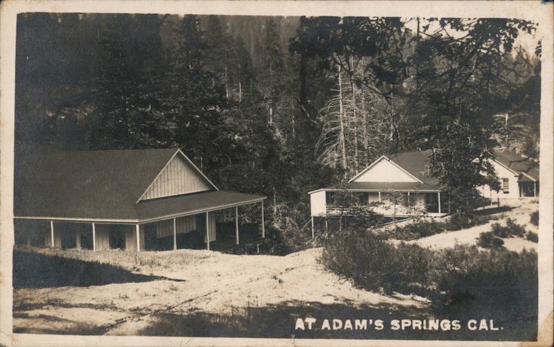 Scene at Adam's Springs Adams, CA Postcard