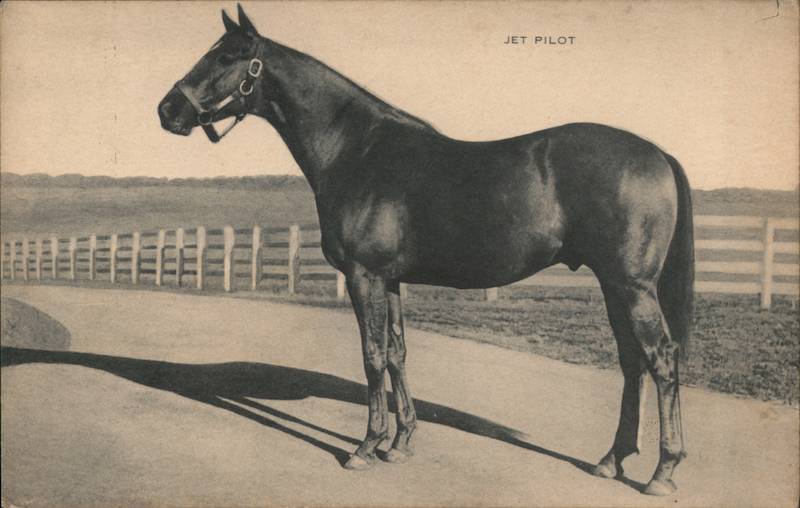 Jet Pilot Horse Winner of Kentucky Derby 1947 Horse Racing Postcard