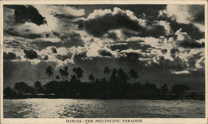 Hawaii--The Mid-Pacific Paradise SS Pres. Wilson Postcard