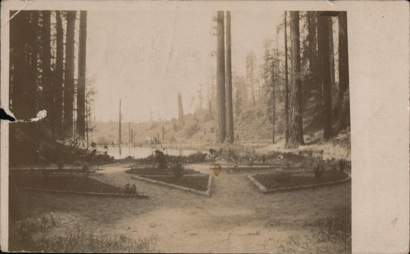 Cuddeback Woods, Garden, Lake, Trees, Landscape DPO Carlotta, CA Postcard