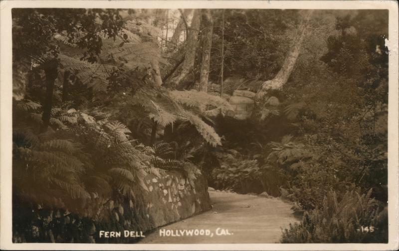 Fern Dell Hollywood, CA Postcard