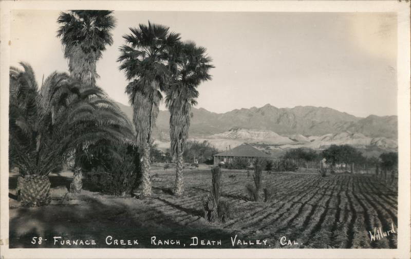 Furnace Creek Ranch Death Valley, CA Willard Postcard