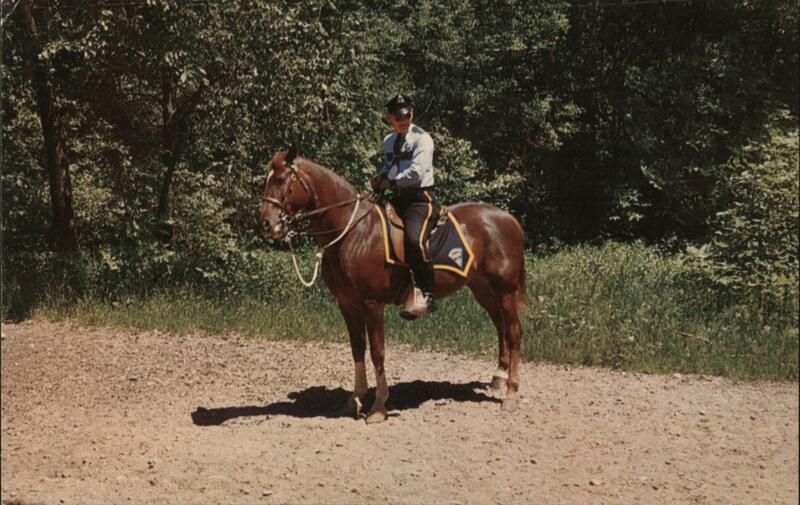 Mounted Patrol - Metropolitan District Commision Parks Boston, MA Postcard