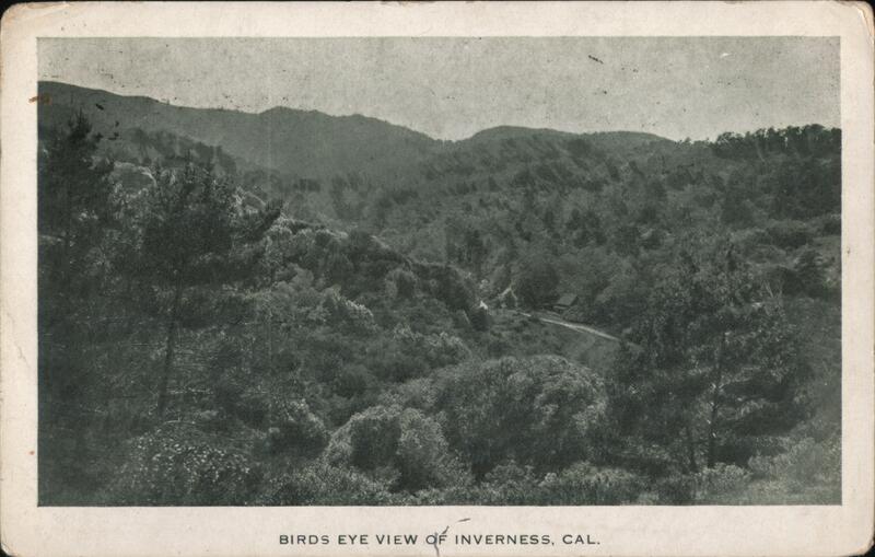 Birds Eye View of Inverness, CA California Postcard