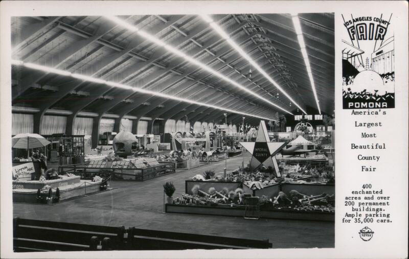 Los Angeles County Fair California Postcard