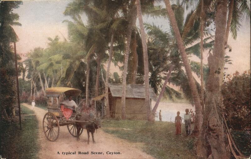 Typical Road Scene, Ceylon Sri Lanka Southeast Asia Postcard