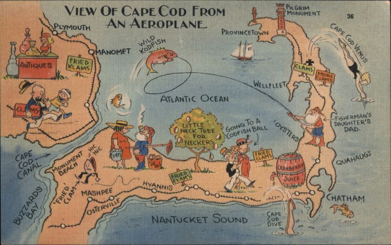 View of Cape Cod From An Aeroplane Maps Postcard