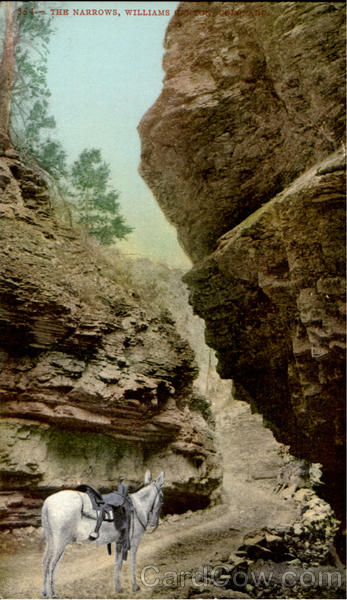 The Narrows Williams Canyon Scenic, CO