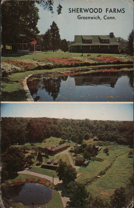 Sherwood Farms, Greenwich, Connecticut Charles Studio Postcard