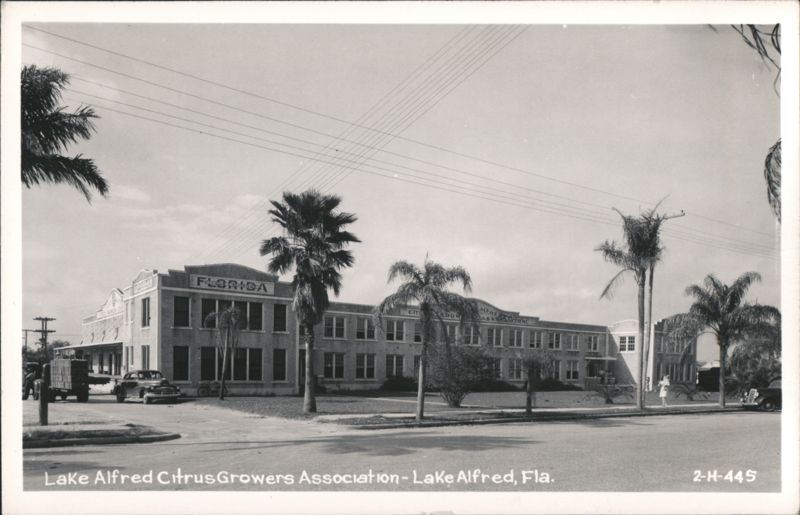 Lake Alfred Citrus Growers Association Building Florida Postcard