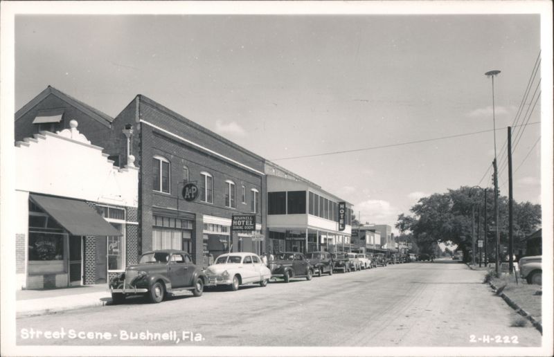 Bushnell, Florida Main Street Scene Postcard