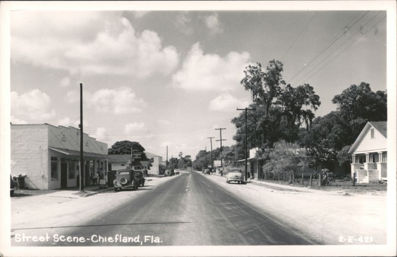 Chiefland Florida Main Street Scene Postcard