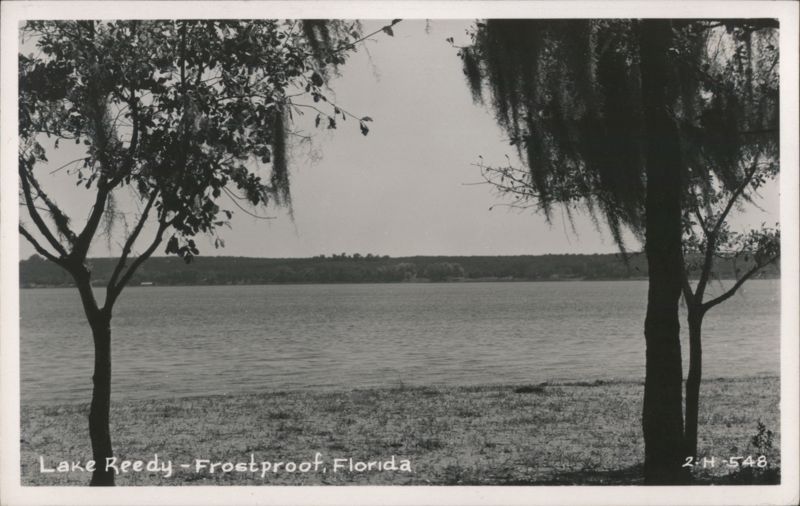 Lake Reedy Frostproof, FL Postcard