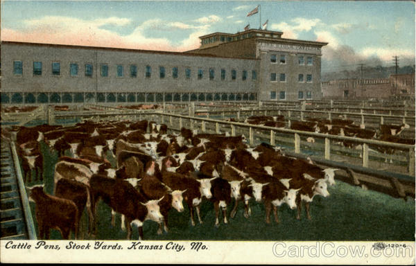 Cattle Pens, Stock Yards Kansas City, MO