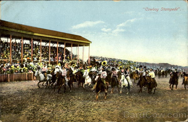 Cowboy Stampede Rodeos