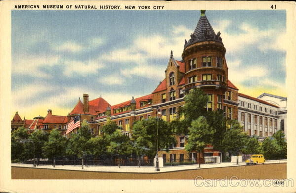 American Museum Of Natural History New York City, NY