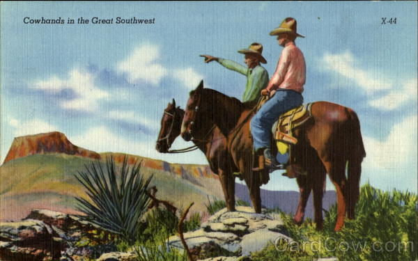 Cowhands In The Great Southwest Cowboy Western