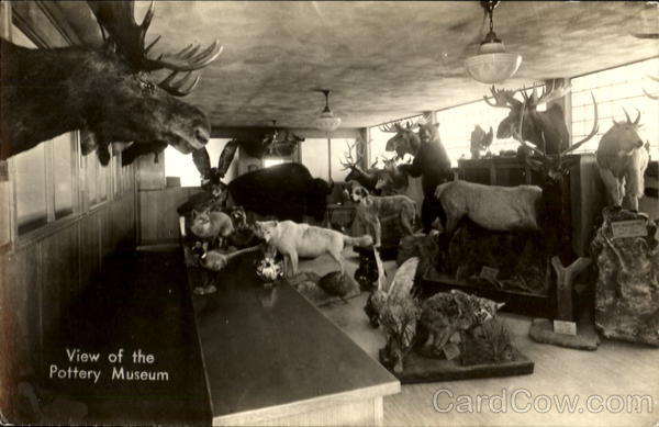 The Scio-Ohio Pottery Company