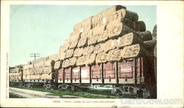 Train Loads Of Cotton For Export Trains, Railroad