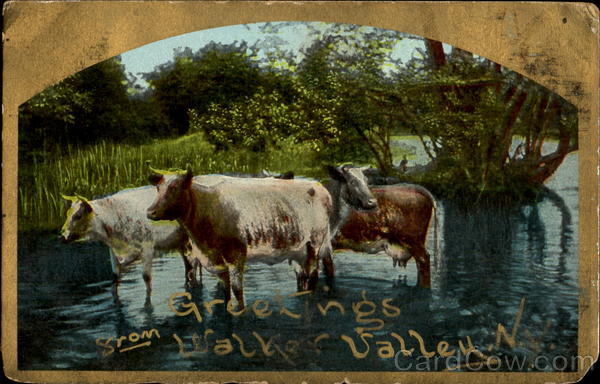 Greetings From Walkar Valley Walker Valley, NY