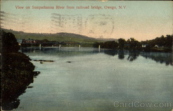 View On Susquehanna River From Railroad Bridge Owego, NY