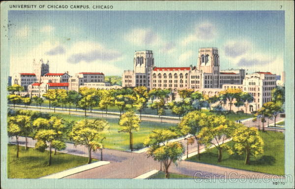 University Of Chicago Campus Illinois