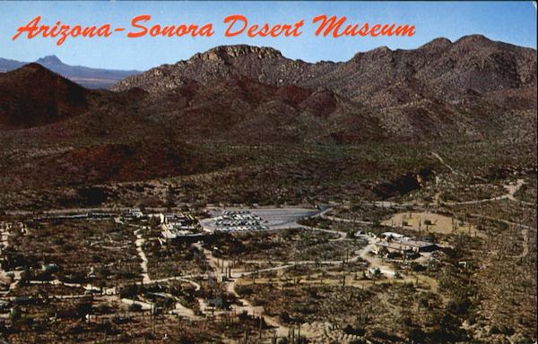 Arizona-Sonora Desert Museum Tucson, AZ