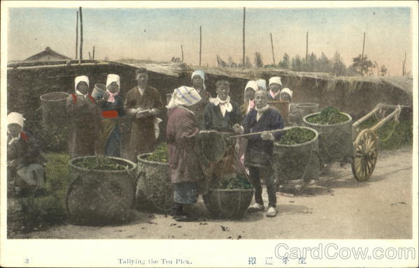 Tallying The Tea Pick Japan