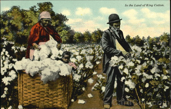 In The Land Of King Cotton Black Americana