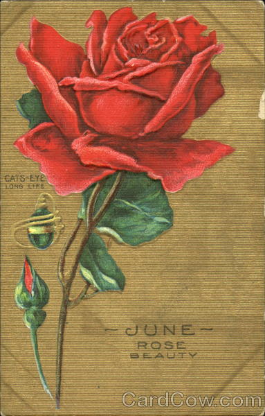 June Rose Beauty Astrology & Zodiac
