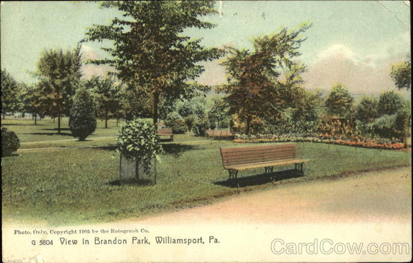 View In Brandon Park Williamsport, PA