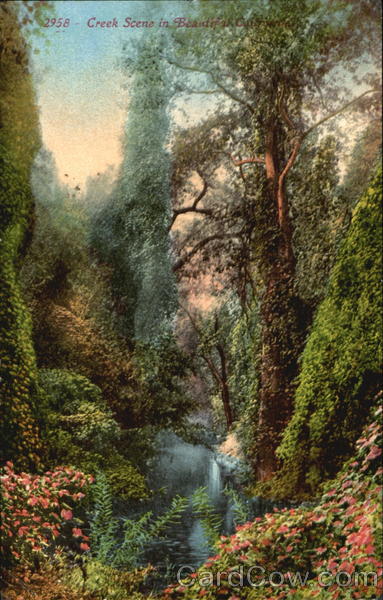 Creek Scene In Beautiful California