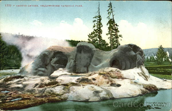 Grotto Geyser, Yellowstone National Park