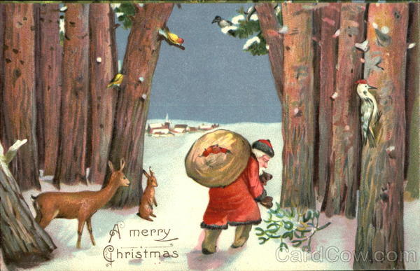 Santa with sack in the forest with animals Santa Claus