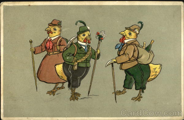 Hitchhiking Chickens With Chicks