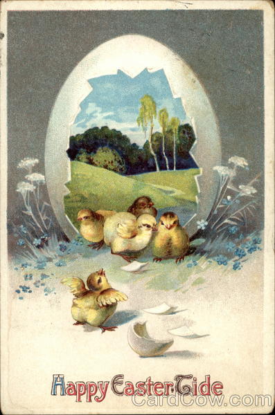 Five Chicks and a Giant Egg With Chicks