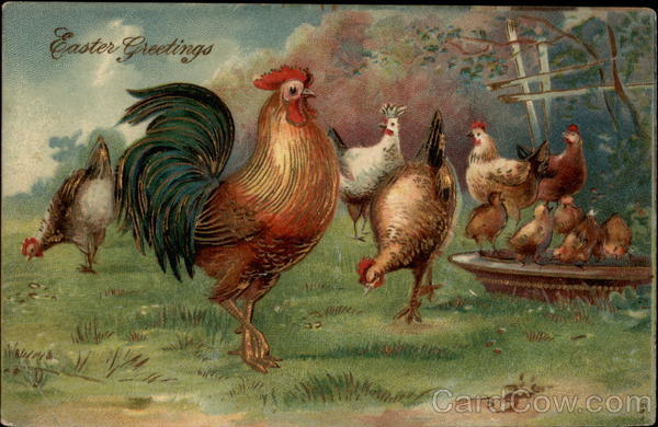 The Rooster Family