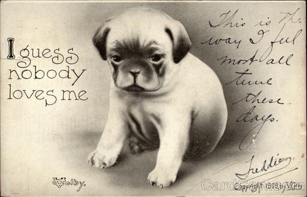 I Guess Nobody Loves Me Dogs