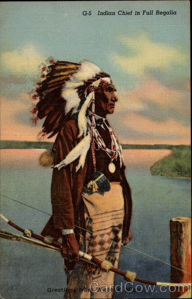 Indian Chief in Full Regalia Wadena, MN Native Americana