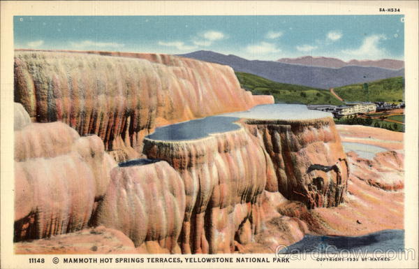 Mammoth Hot Springs Terraces Yellowstone National Park, WY