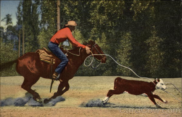 Calf Roping in the Southwest Cowboy Western