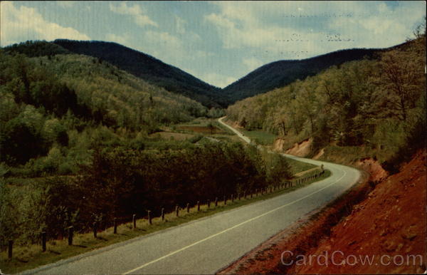 Salta Pontiac Long Beach, CA Advertising