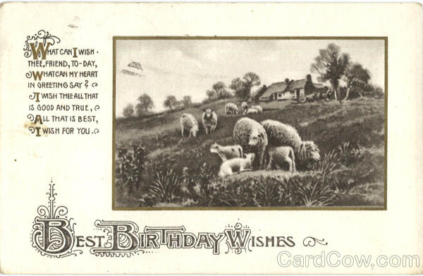 Best Birthday Wishes - Sheep