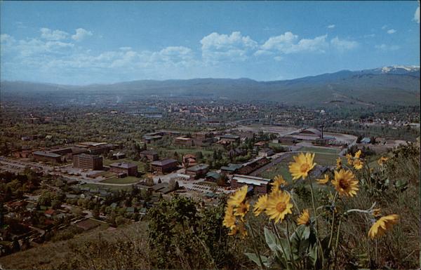 Montana State University Bozeman, MT